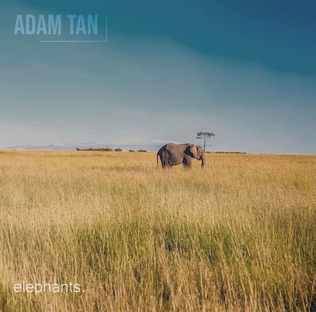 Adam Tan mit "Elephants" - max neo - Nürnberg